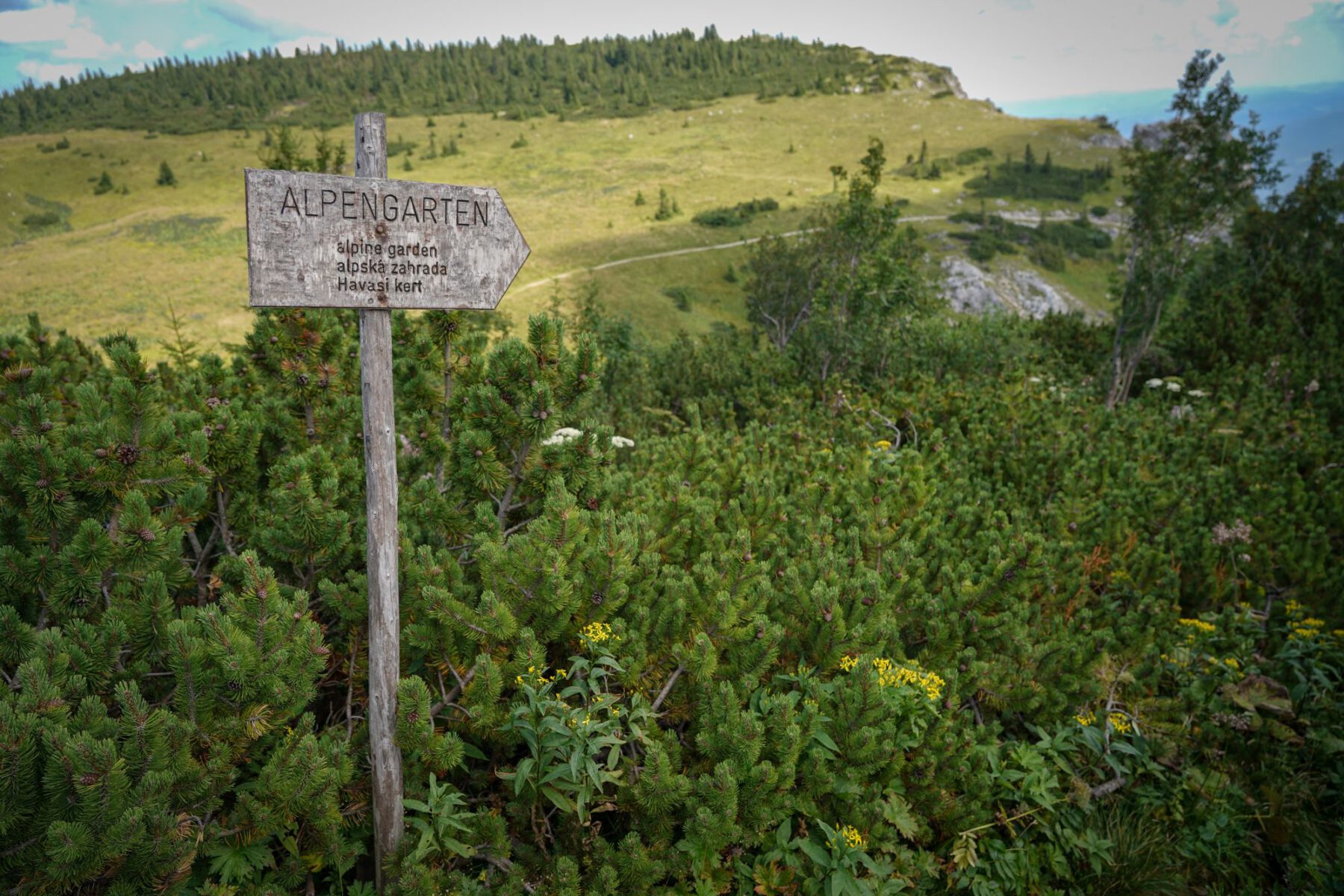 Rax-Seilbahn – Top Ausflug