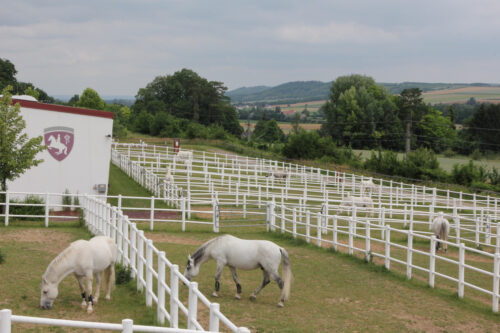Der Heldenberg – Top Ausflug
